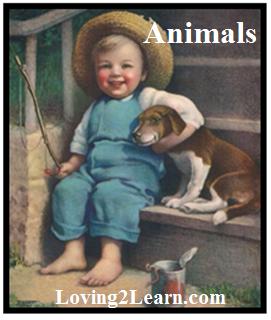 Teaching the Animals - Teaching Zoo and Farm Animals with Learning Videos