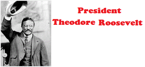 President Theodore Roosevelt: Videos, Fact, and Activities