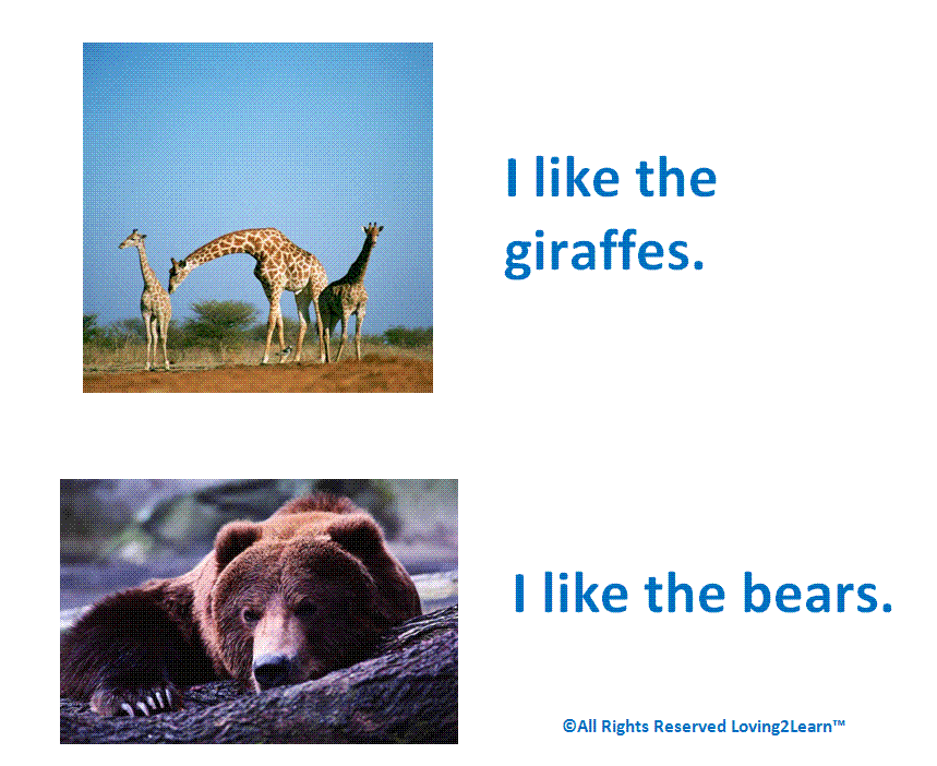 Zoo Animals Book, "I Like the Zoo" and Read Along Book Video